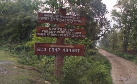 Nameri National Park, Assam: Where Wilderness Thrives on the Banks of ...